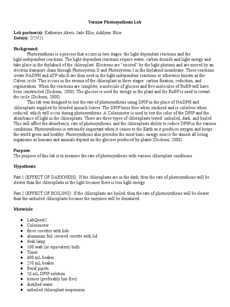 Photosynthesis Rate Analysis Lab | PDF | Photosynthesis | Metabolism