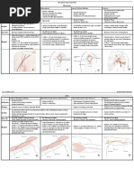 Palmar Approach - Modified Henry Approach | PDF | Hand | Human Anatomy