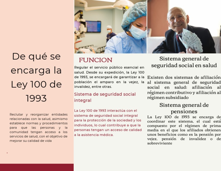 FOLLETO La Ley 100 de 1993 | PDF