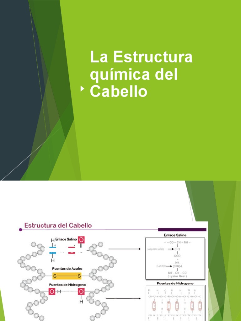 Estructura Quimica Del Cabello | PDF | Aminoácidos | Ácido