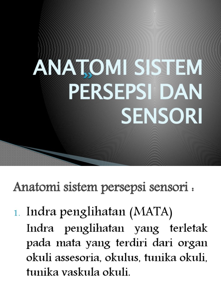 Anatomi Sistem Persepsi Dan Sensori | PDF
