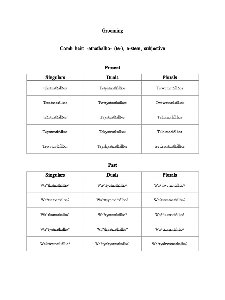 Fns 478 Grooming Verb Set | PDF | Grammatical Number | Grammatical ...