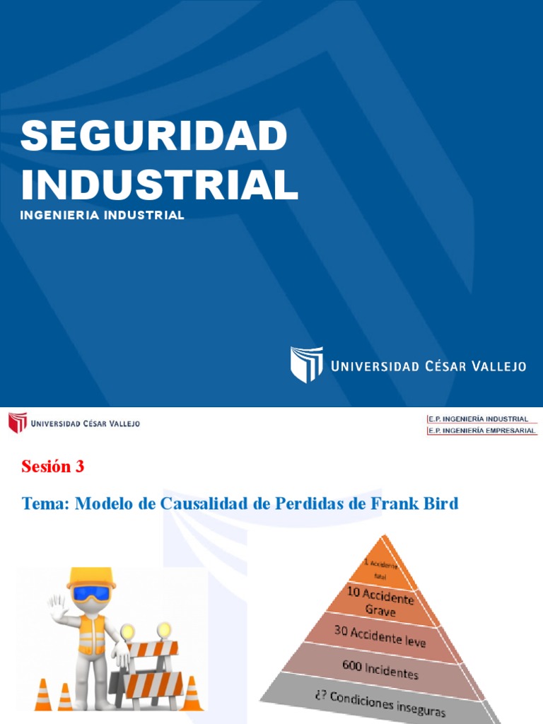 S3 - Modelo de Causalidad de Perdidas de Frank Bird | PDF | Lesión ...
