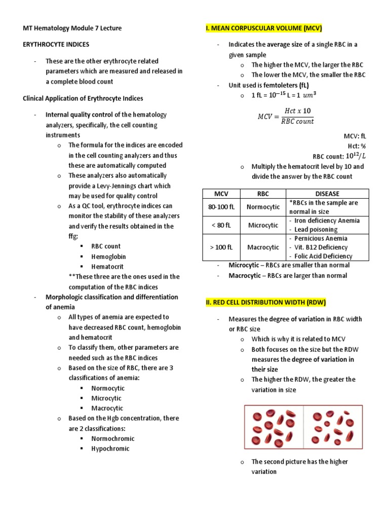 7 - MT Hematology Module 7 Lecture | PDF | Anemia | Tissue (Biology)