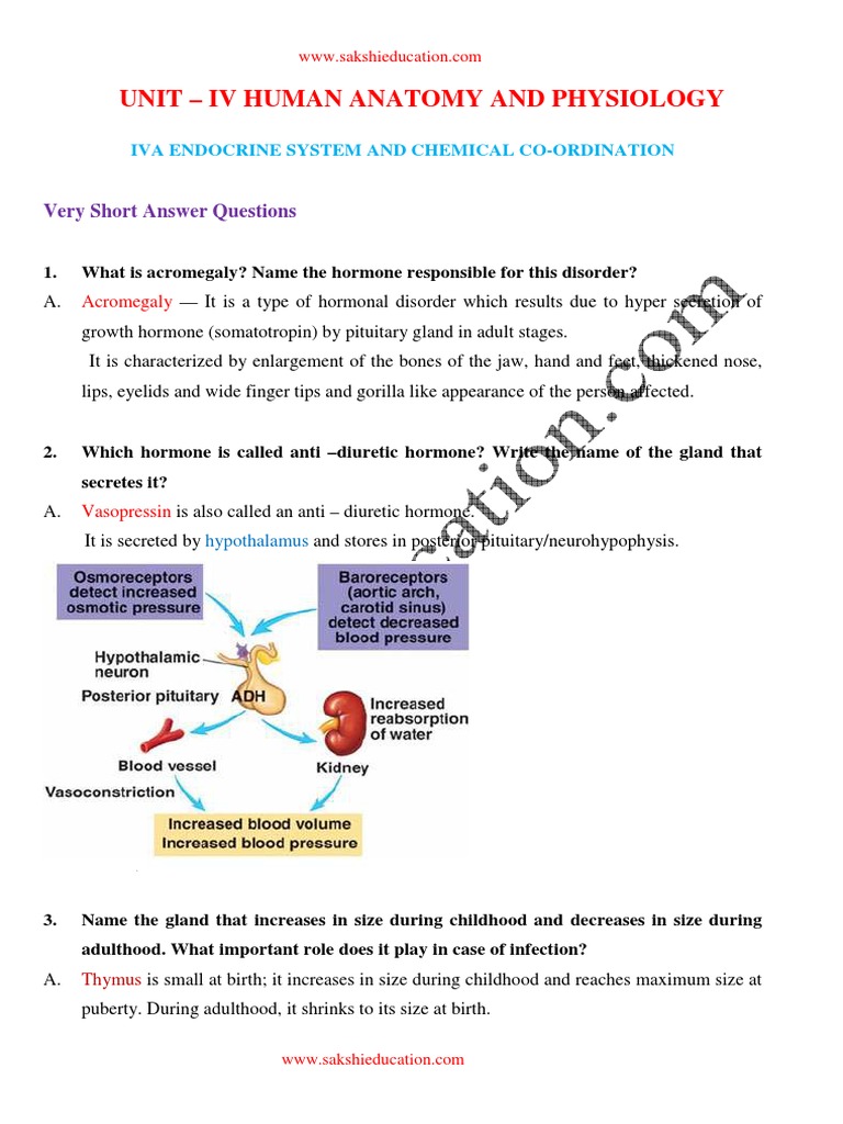 Unit - Iv Human Anatomy and Physiology: Very Short Answer Questions ...