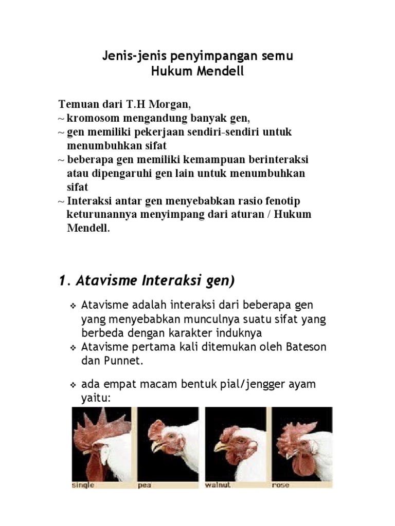 Atavisme dan Interaksi Gen dalam Pewarisan | PDF