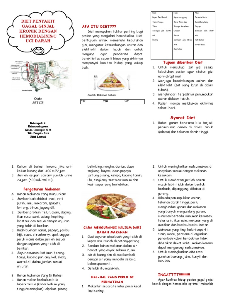 Leaflet Diit CKD | PDF