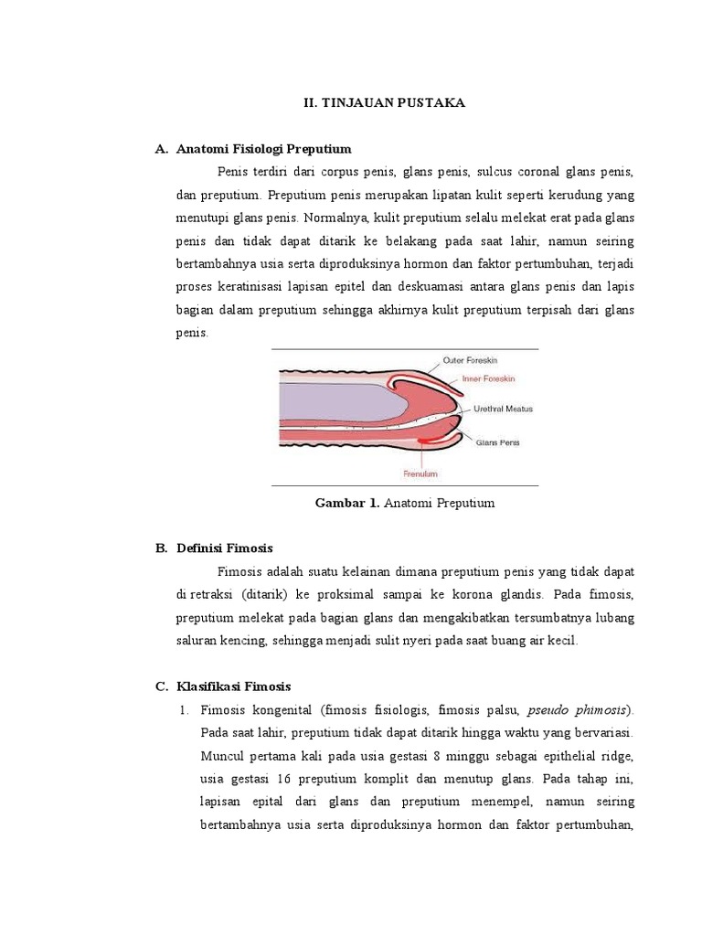 Tinjauan Pustaka Fimosis | PDF | Sains & Matematika