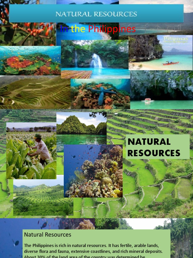 1234 Natural Resources Applied Economics Presentation | PDF | Luzon ...