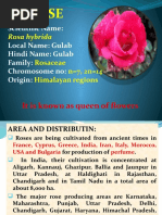 Walkthrough Divimera (R8) | PDF