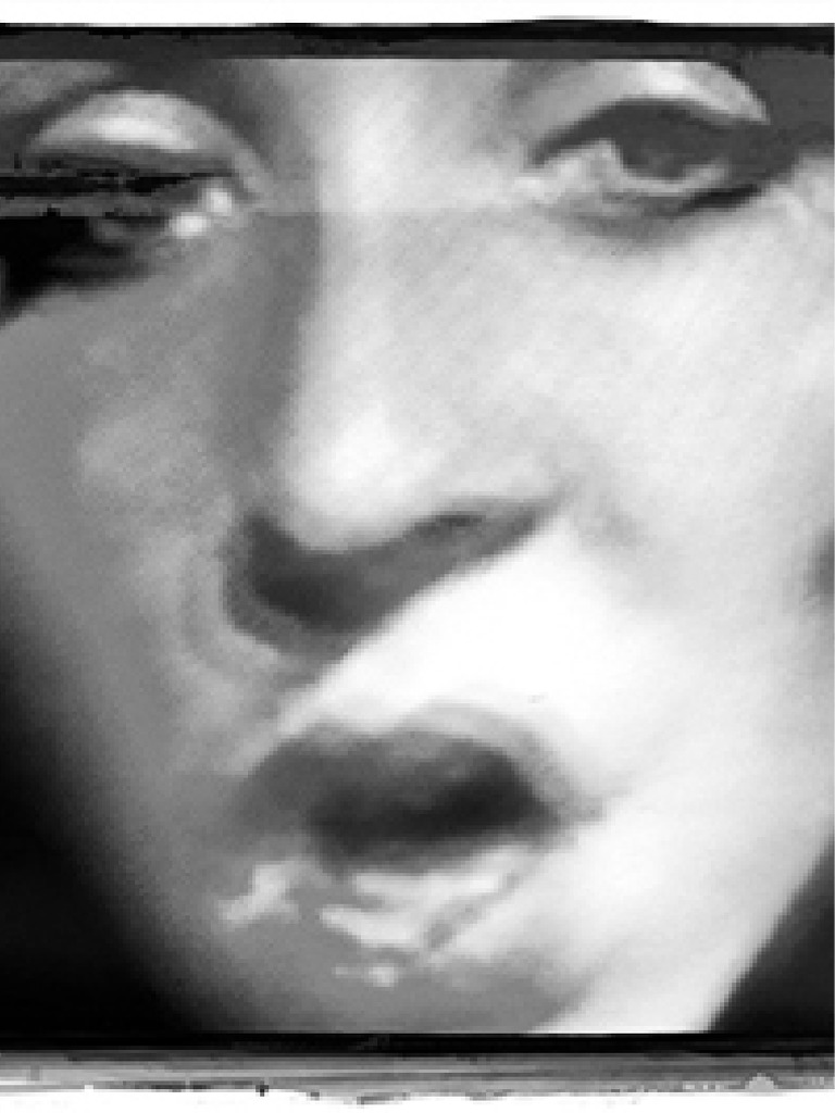 Pornspective - Emiliano Vittoriosi | PDF