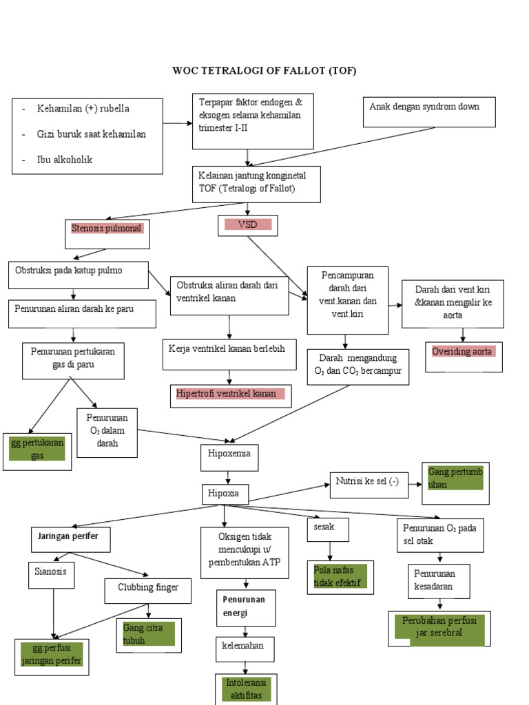Woc Tetralogi of Fallot Tof | PDF