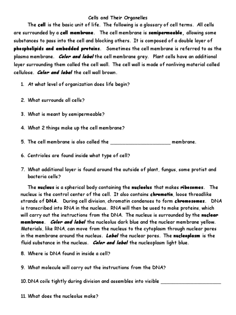 Color and Label Color and Label .: Cells and Their Organelles | PDF ...
