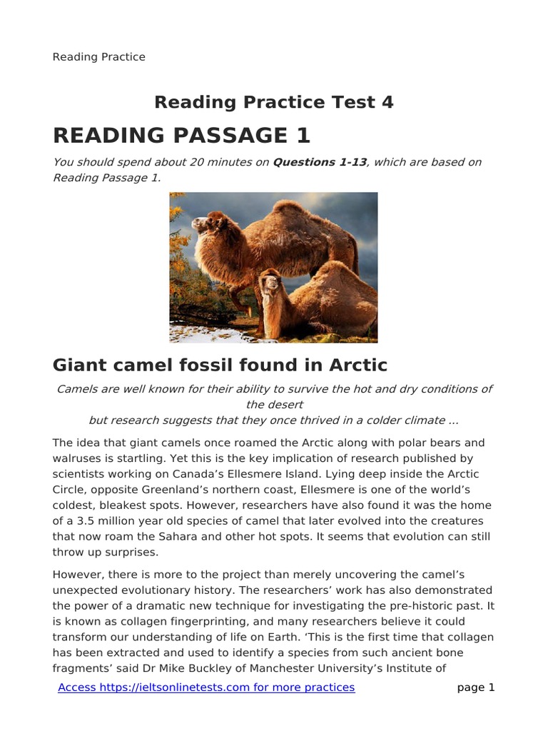 Reading Practice Reading Passage 1 | PDF | Question | Automation