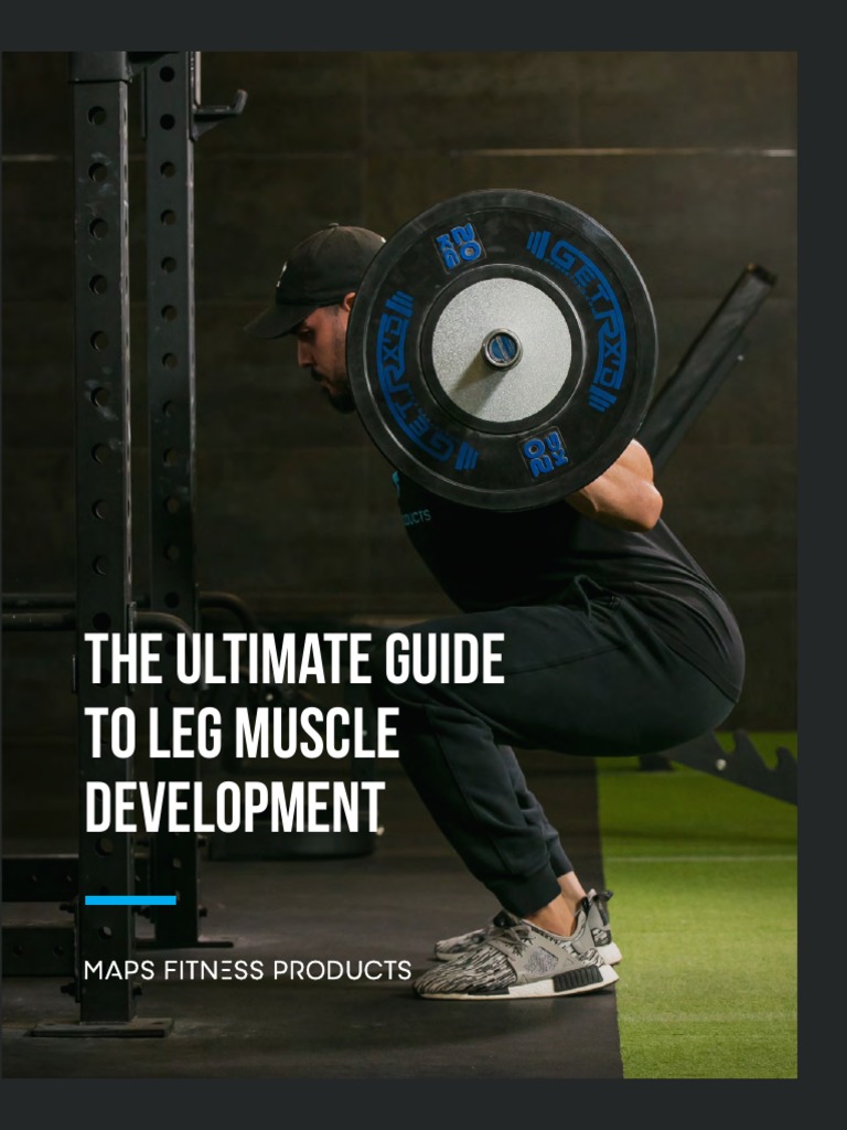 MP - Leg Muscle Development | PDF | Flexibility (Anatomy) | Muscle