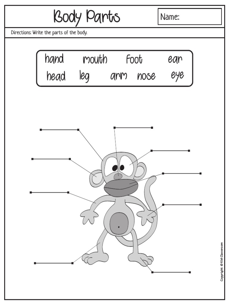 Annex 1. Body Parts Worksheet (Grade 3) | PDF