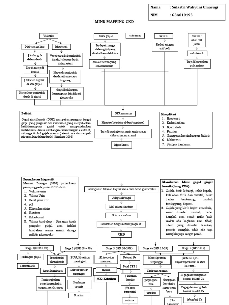 Mind Mapping CKD | PDF
