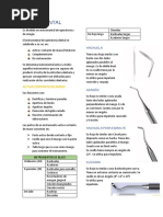 Curva de Spee y Wilson | PDF | Ortodoncia | Odontología
