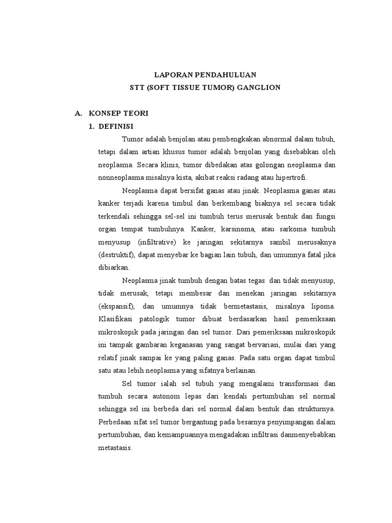 Laporan Pendahuluan STT | PDF