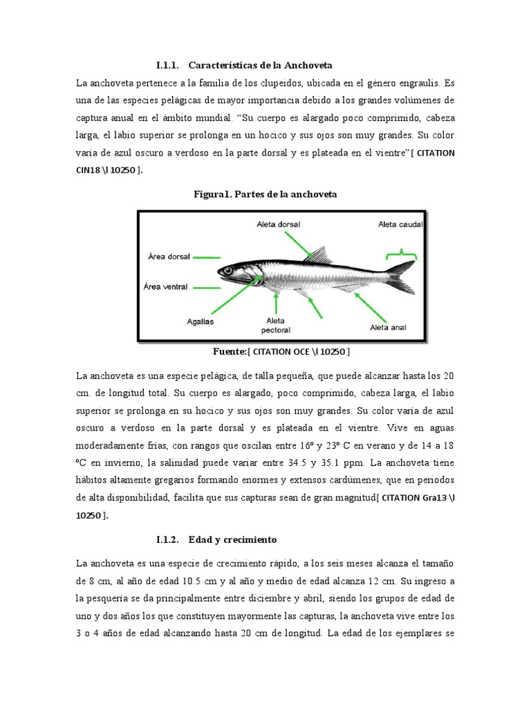 Avanse 1 de Proyectos | PDF | Proteínas | Pescado como alimento