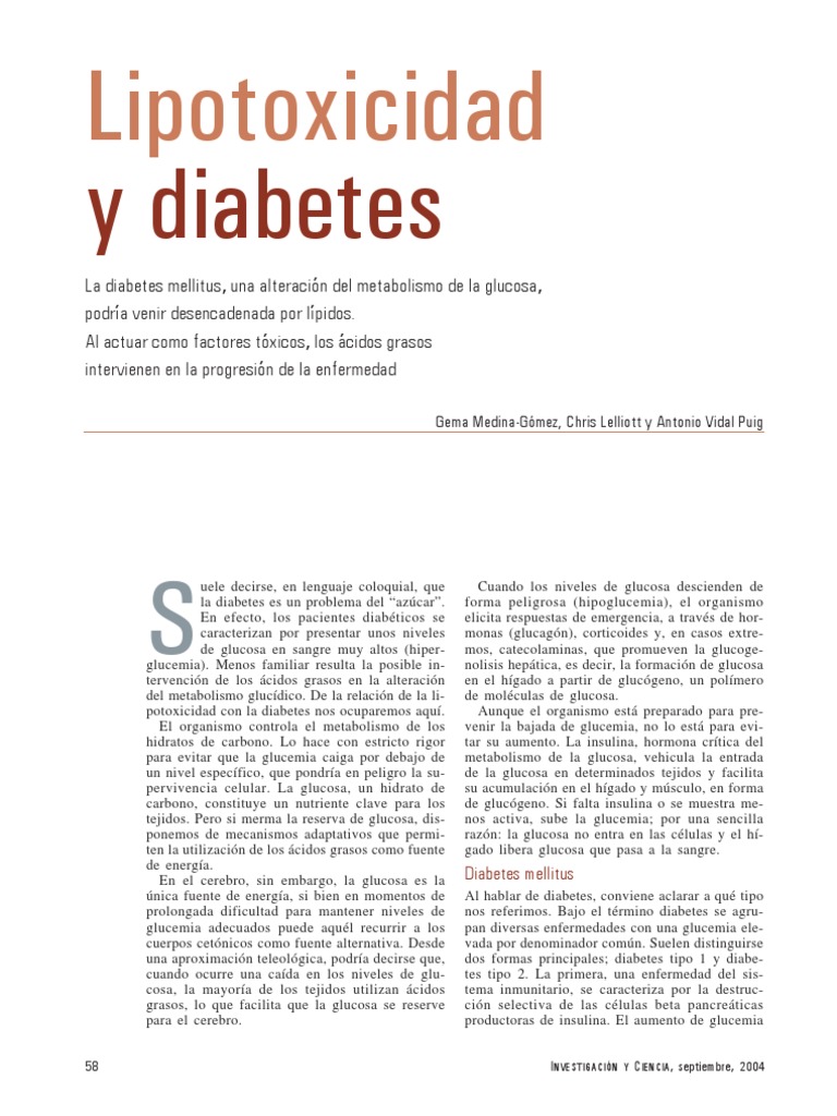 Lipotoxicidad y Diabetes | PDF | Tejido adiposo | Leptina