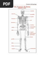 Brooks, Suchey 1990 PDF | PDF | Anatomical Terms Of Location | Statistics