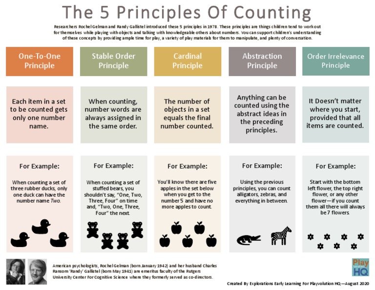 The 5 Principles of Counting | PDF | Neuropsychological Assessment ...