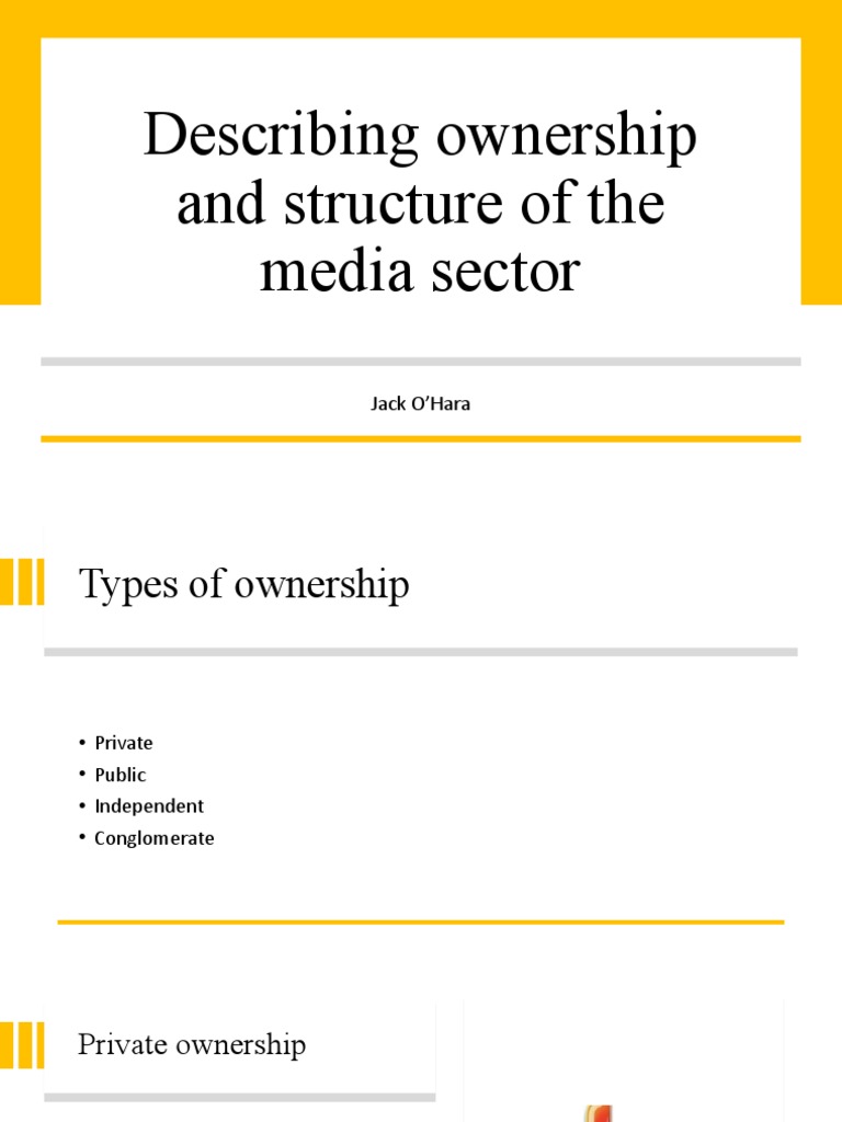 Describing Ownership and Structure of The Media Sector | PDF ...
