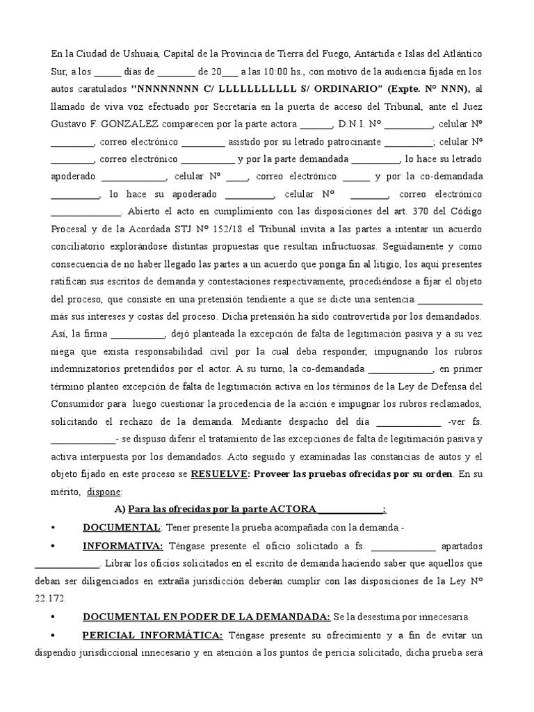 Modelo Acta Audiencia Preliminar | PDF | Demanda judicial | Gobierno