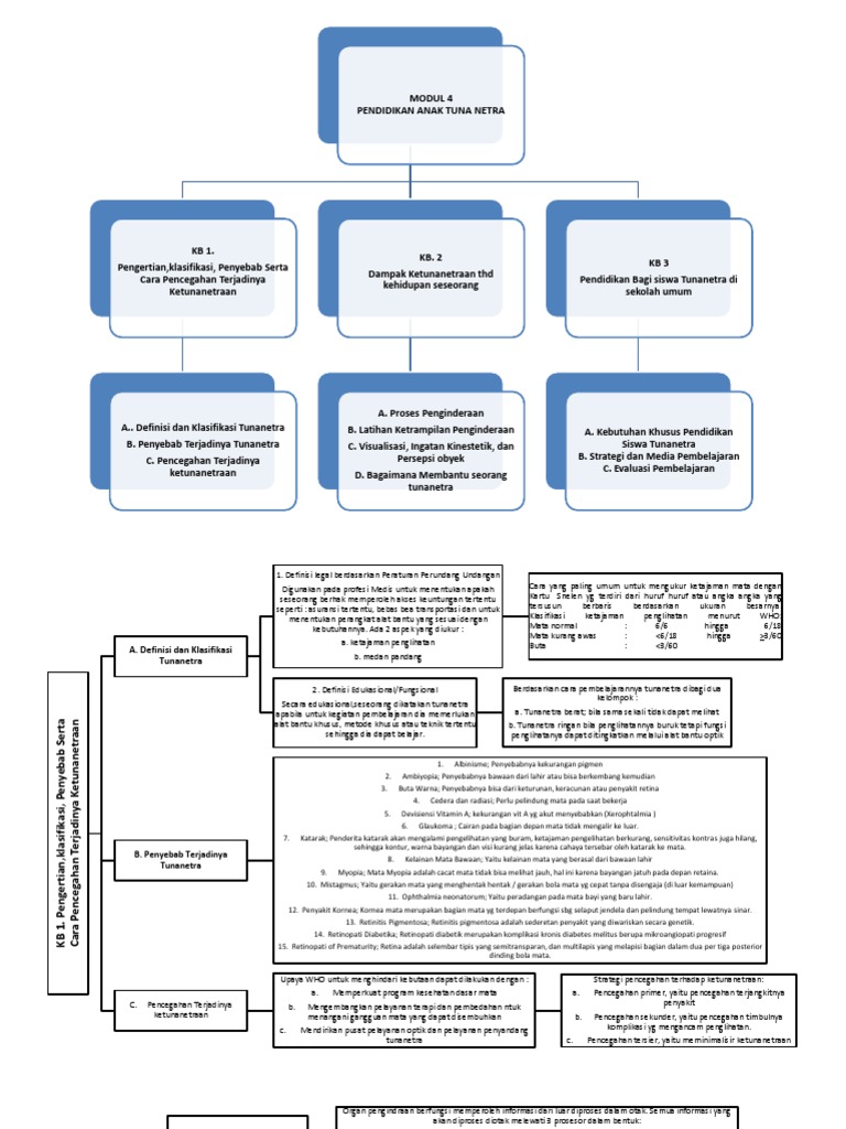 Peta Konsep ABK Modul 4 | PDF
