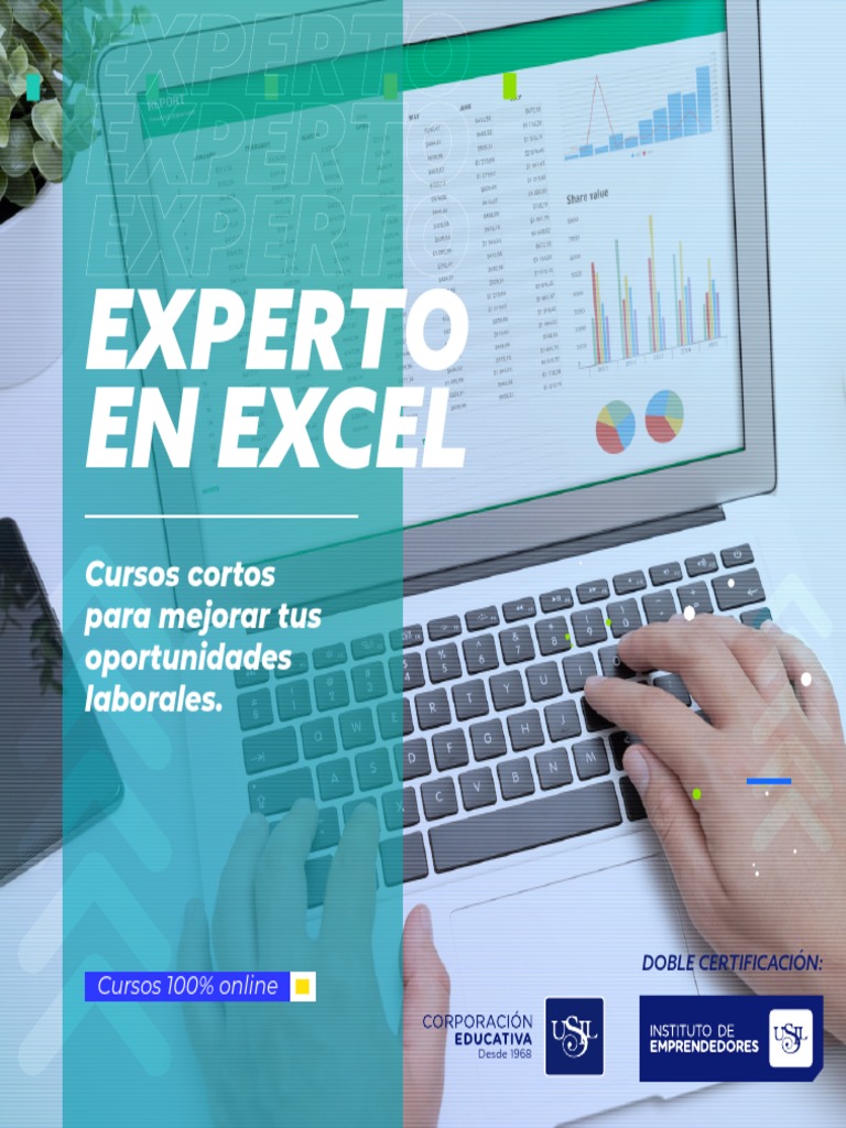 Experto en Excel (Versión Regular) | PDF | Microsoft Excel | Iniciativa ...