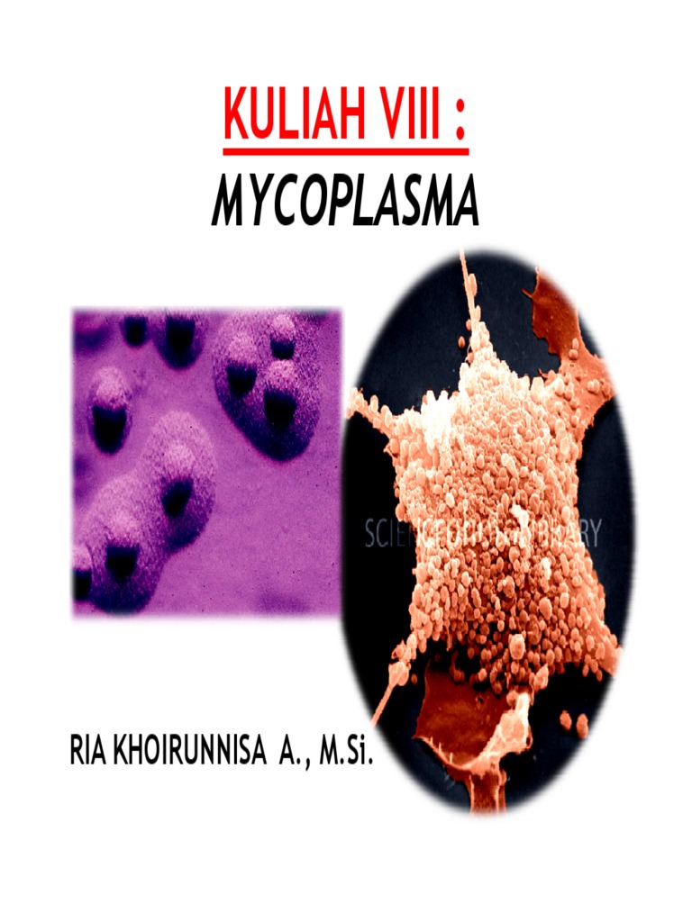 Kuliah Viii - Mycoplasma | PDF