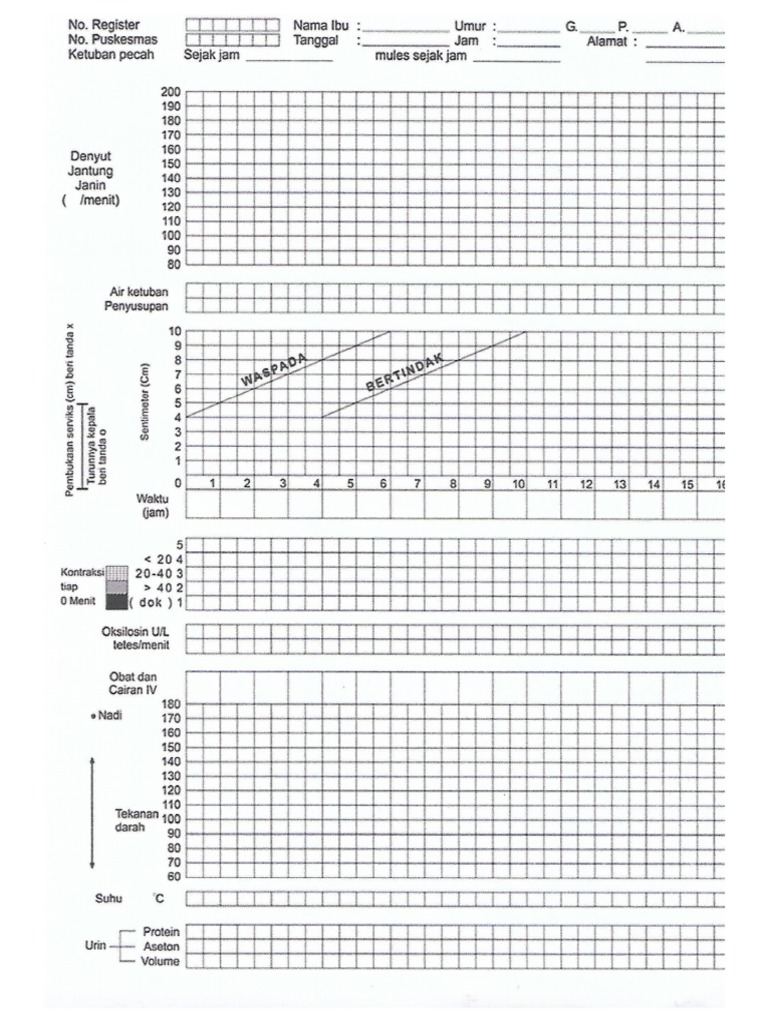 Partograf Word | PDF