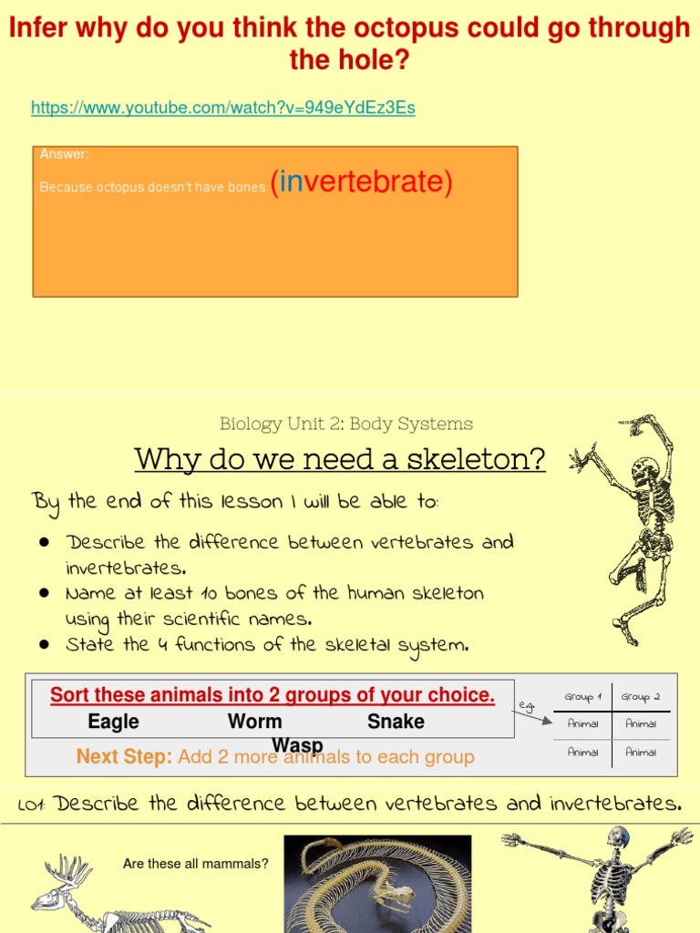 2.4 The Skeletal System | PDF | Skeleton | Invertebrate