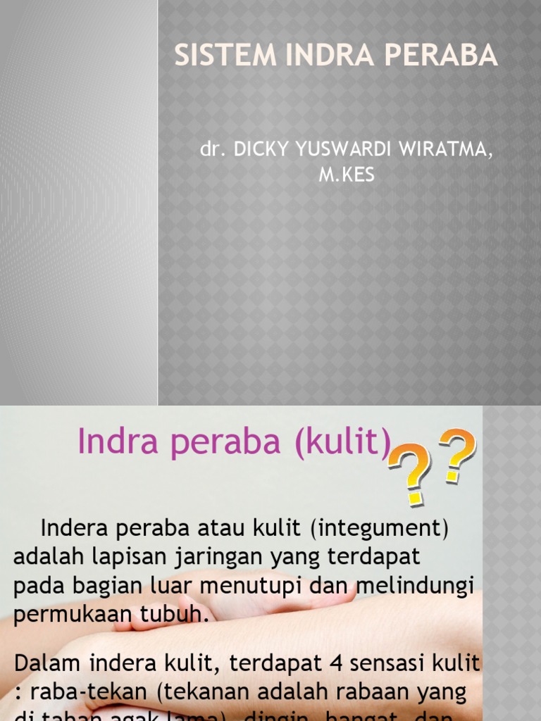 Sistem Indra Peraba | PDF