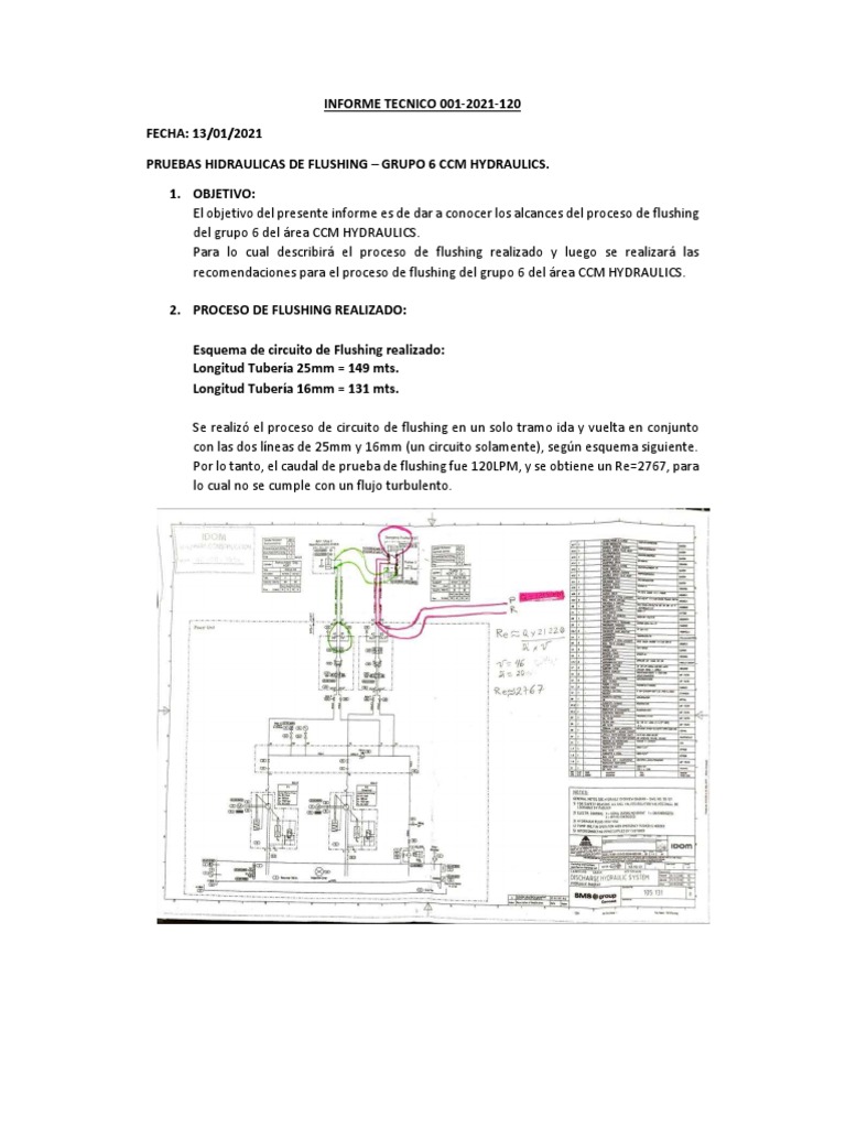 INFORME TECNICO 001-2021 Flushing | PDF | Líquidos | Mecánica de Medios Continuos