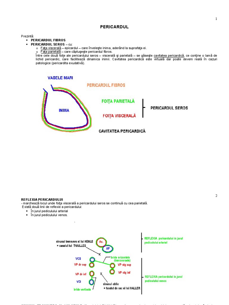 505 Pericard Inima | PDF