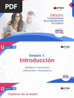 Funciones y Operadores de RAPTOR | PDF | Informática