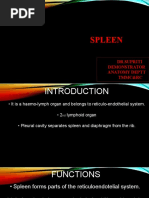 APFLU SYRUP Chlorphenamine Maleate BP 0.5mg Paracetamol BP 120 MG and ...