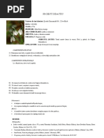 PLANIFICARE CLASA A 7-A Romana | PDF