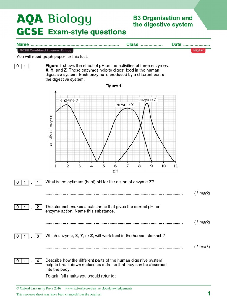 Biology Digestion Higher Tier | PDF | Digestion | Human Digestive System
