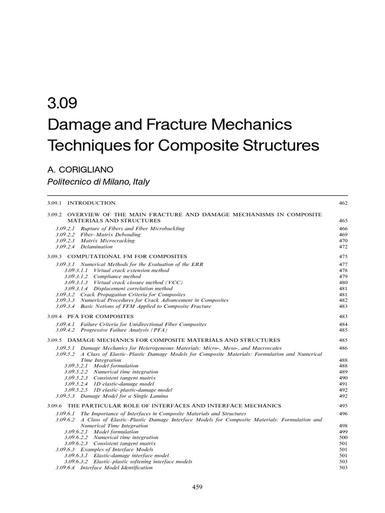 Damage and Fracture Mechanics Techniques For Composite Structures | PDF ...