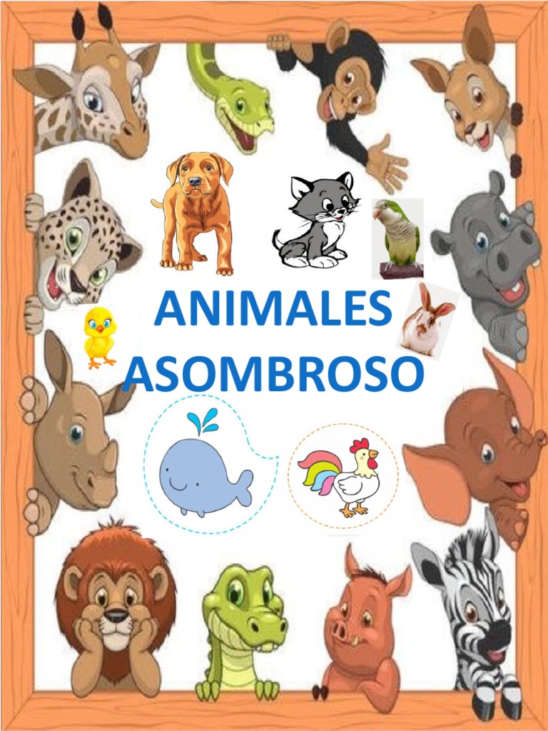 Laminas Clasificacion de Animales | PDF