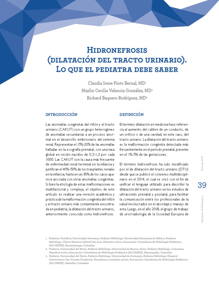 Hidronefrosis | PDF | Urología | Riñón