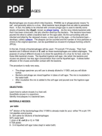 API Rapid 20E Identification Guide | PDF | Organisms | Microbiology