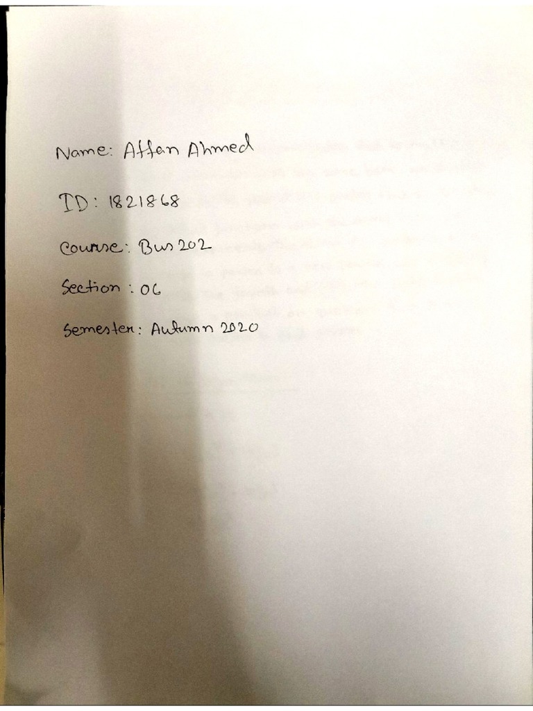 Bus 202 Assignment | PDF