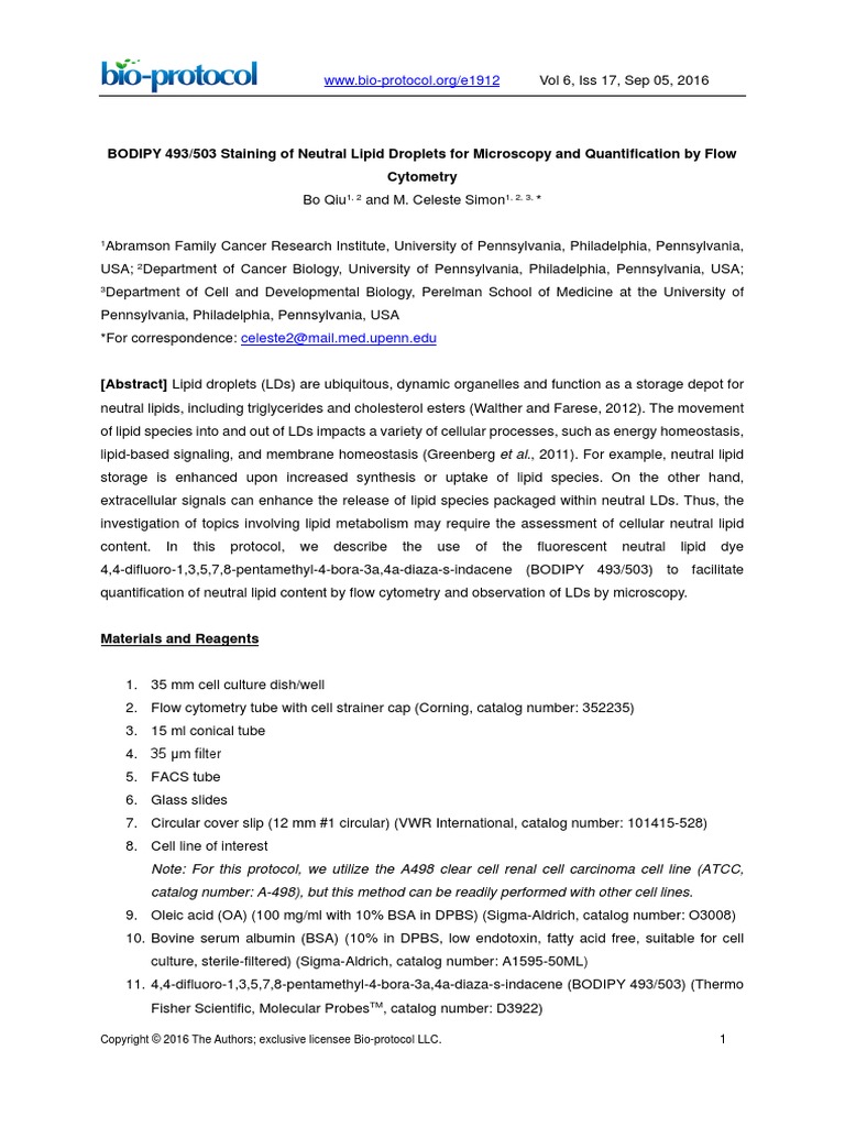 BODIPY 493/503 Staining of Neutral Lipid Droplets For Microscopy and ...