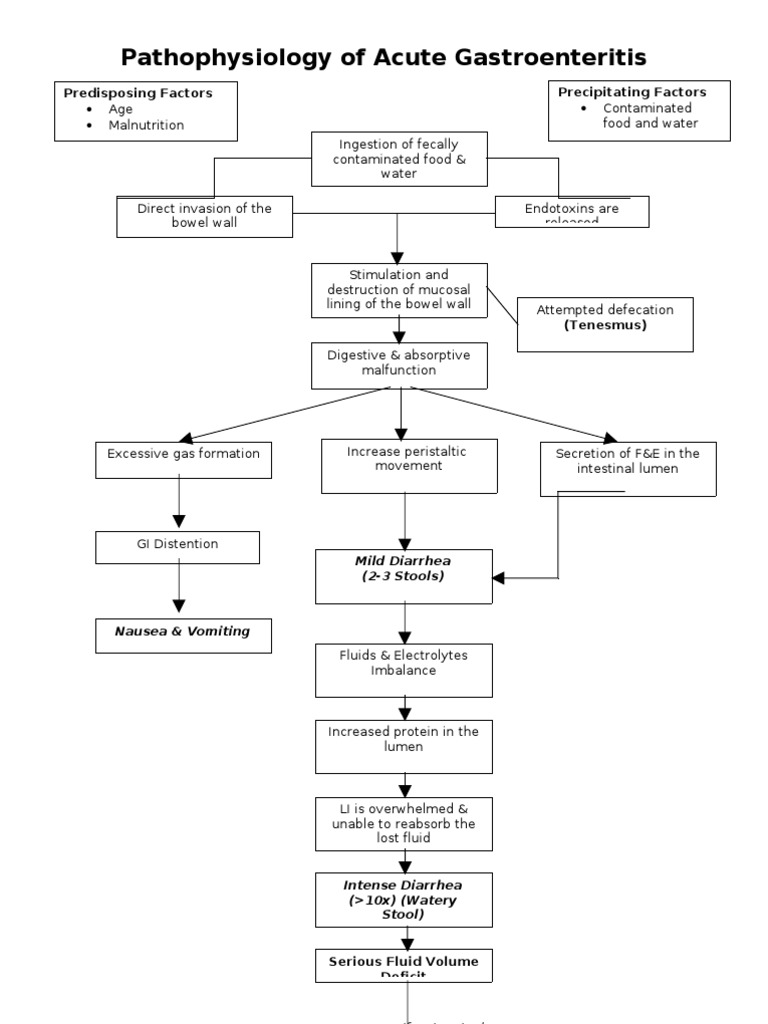 Pathophysiology of Acute Gastroenteritis | PDF | Diarrhea | Human Feces