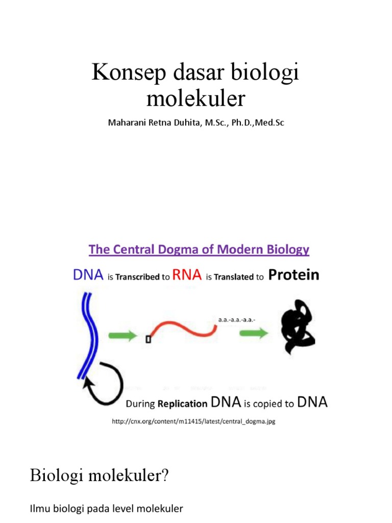 IV. Konsep Dasar Biologi Molekuler | PDF