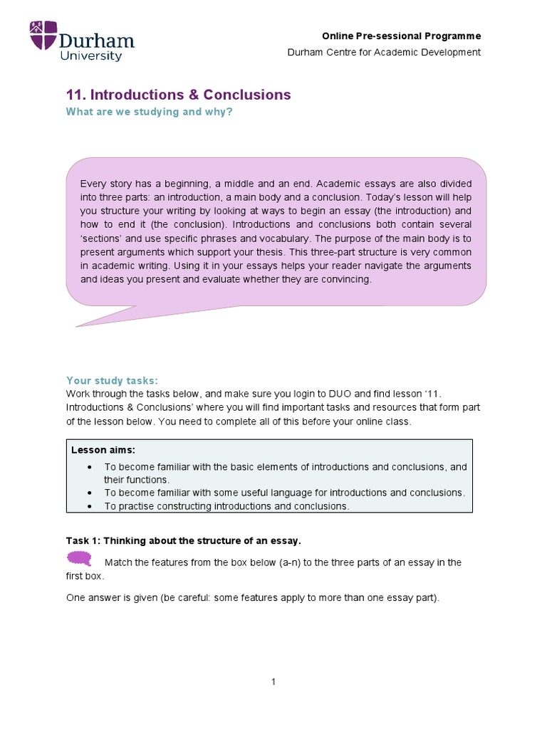 Essay Introductions & Conclusions Guide | PDF | Essays | Airlines